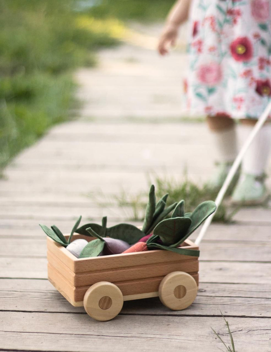 Wooden Pull Along Wagon – DreamsAcademy